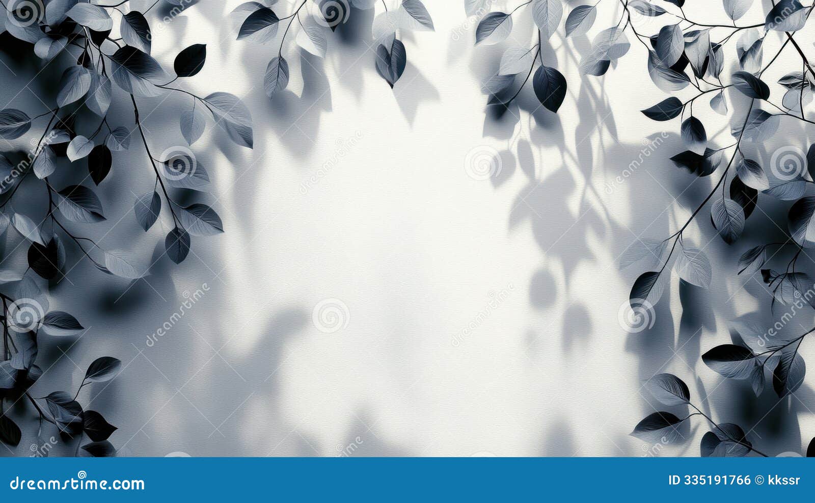 Willow Tree Shadow, a Gray Silhouette of Willow Tree Leaves Cast on a ...