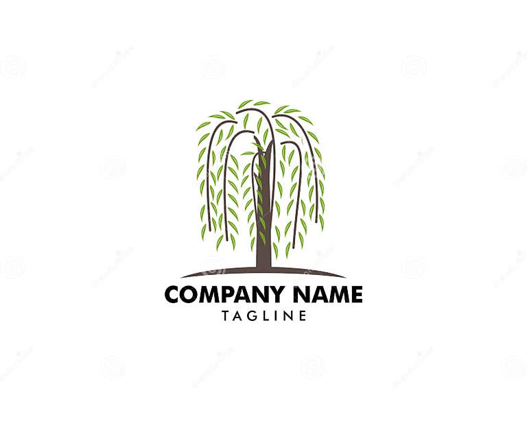 Willow Tree Symbol Logo Vector Stock Vector - Illustration of abstract ...