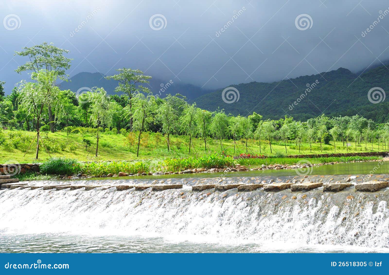 Willow trees at riverside stock image. Image of mountain - 26518305