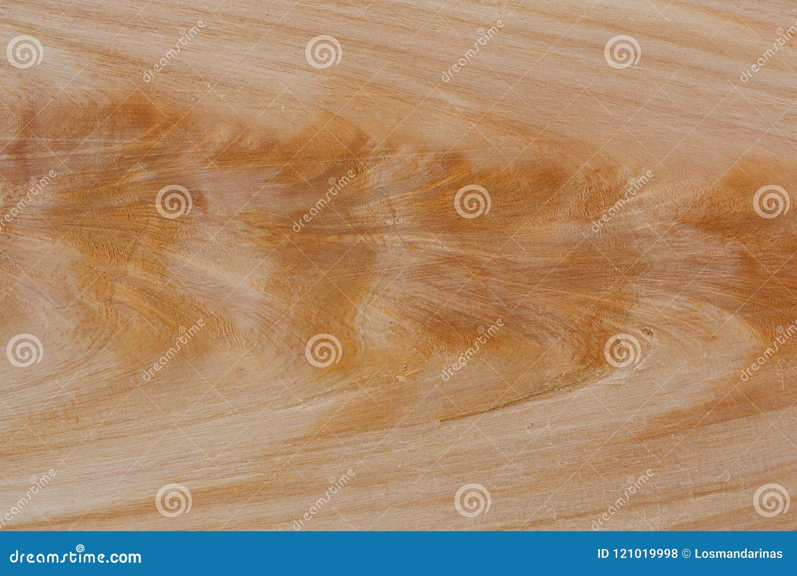 Willow wood texture stock photo. Image of close, lumber - 121019998