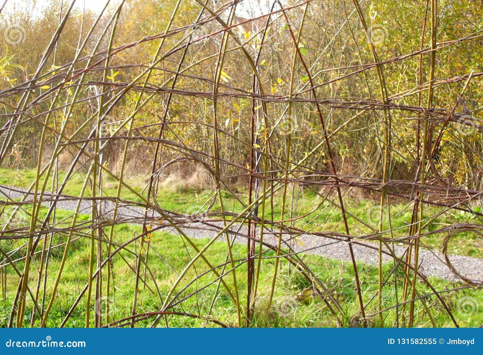 Within a Willow-work Dome, Looking Out Stock Image - Image of weave ...