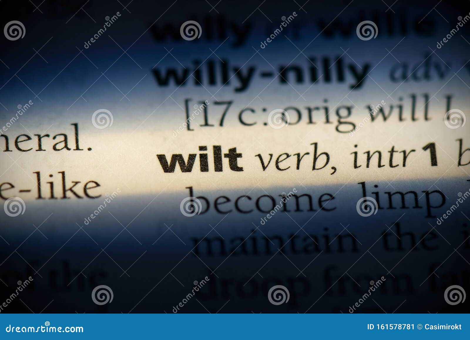 Wilt stock image. Image of education, vocabulary, thesaurus - 161578781