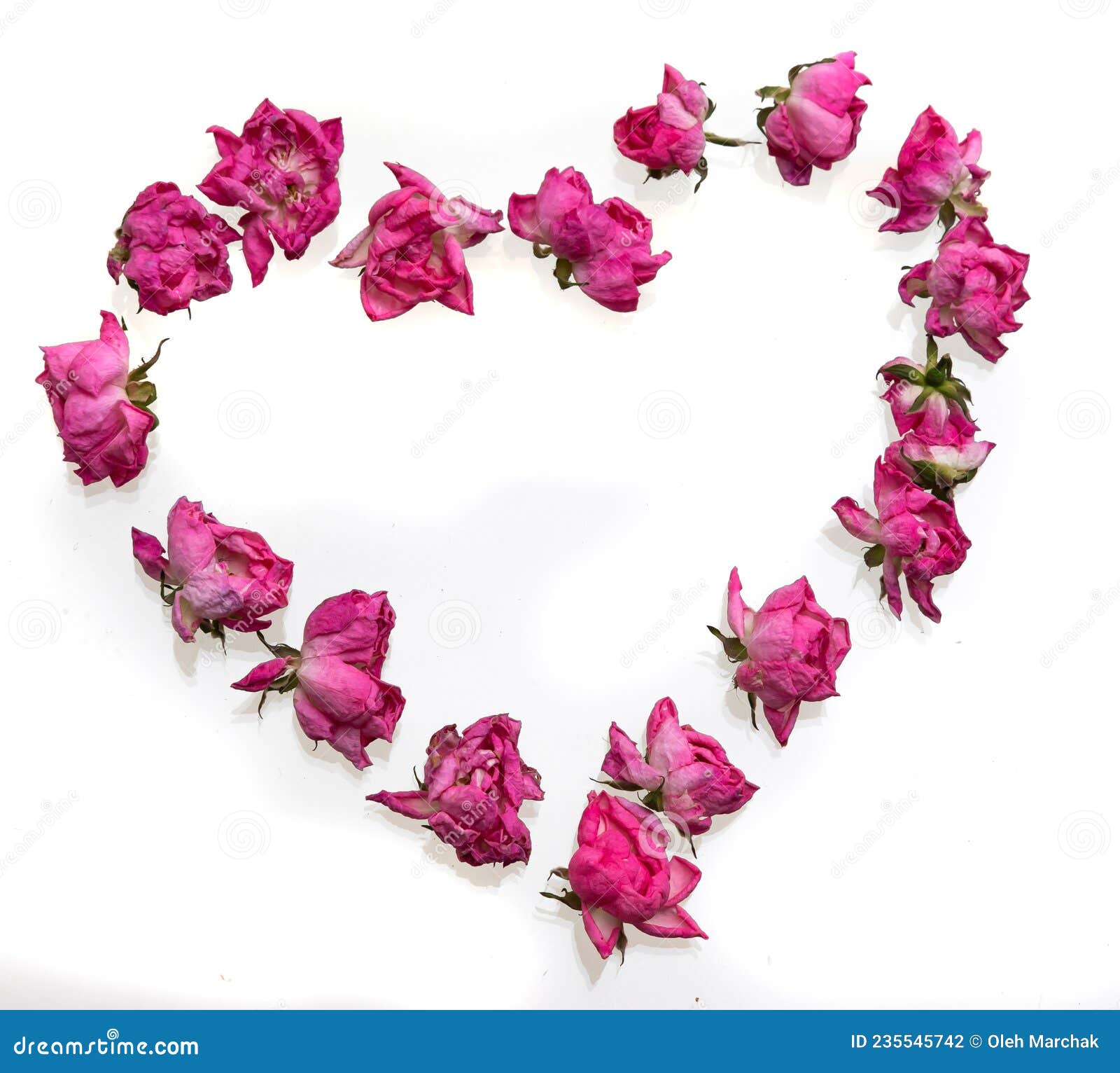 Wilted Rose Petals Shaped into Heart on White Stock Photo - Image of ...