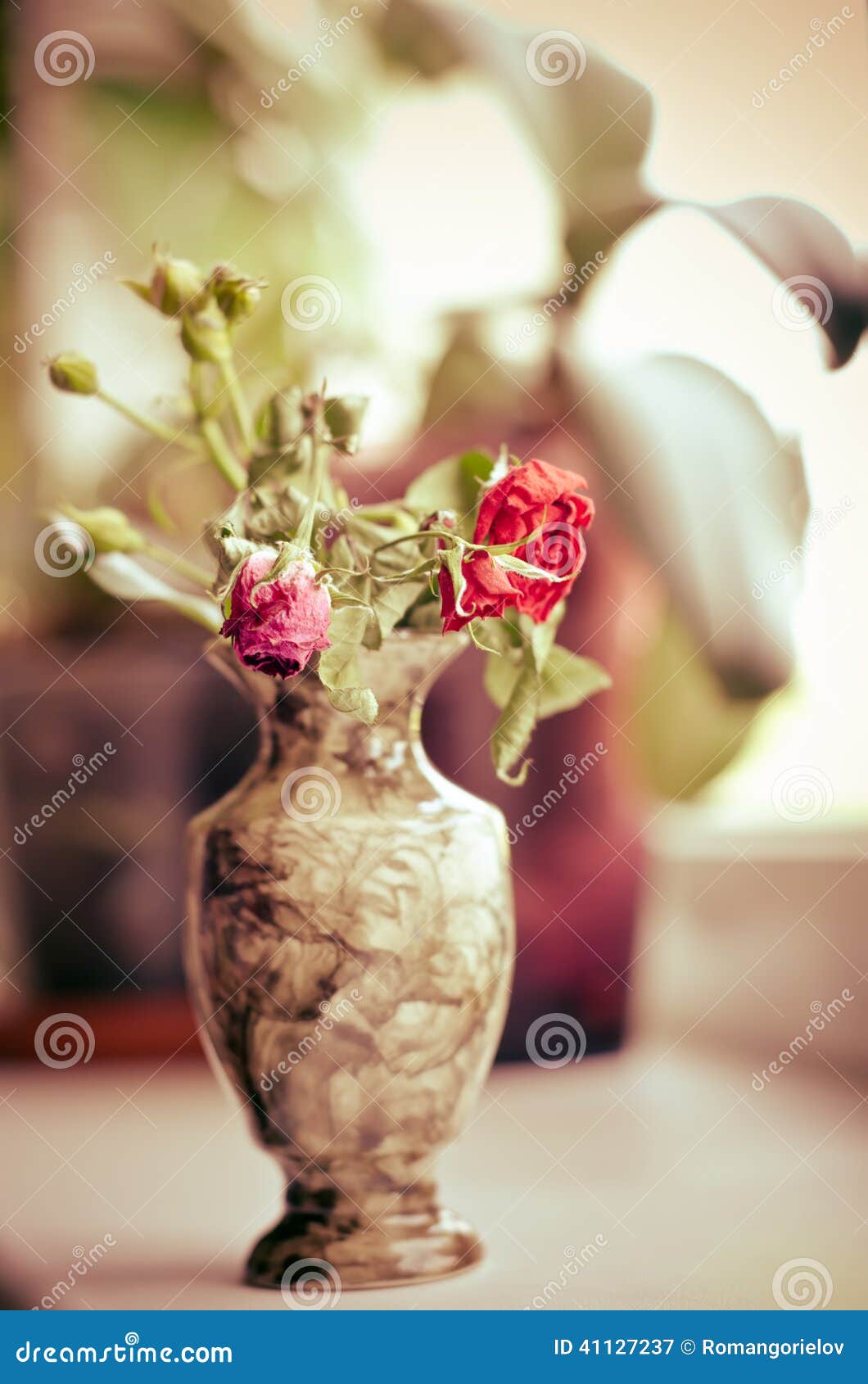Wilted rose stock image. Image of vase, bunch, petal - 41127237