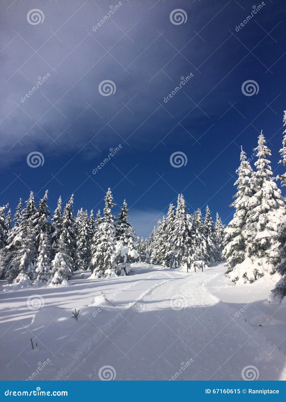 Wimter stock image. Image of cloud, nature, landscape - 67160615