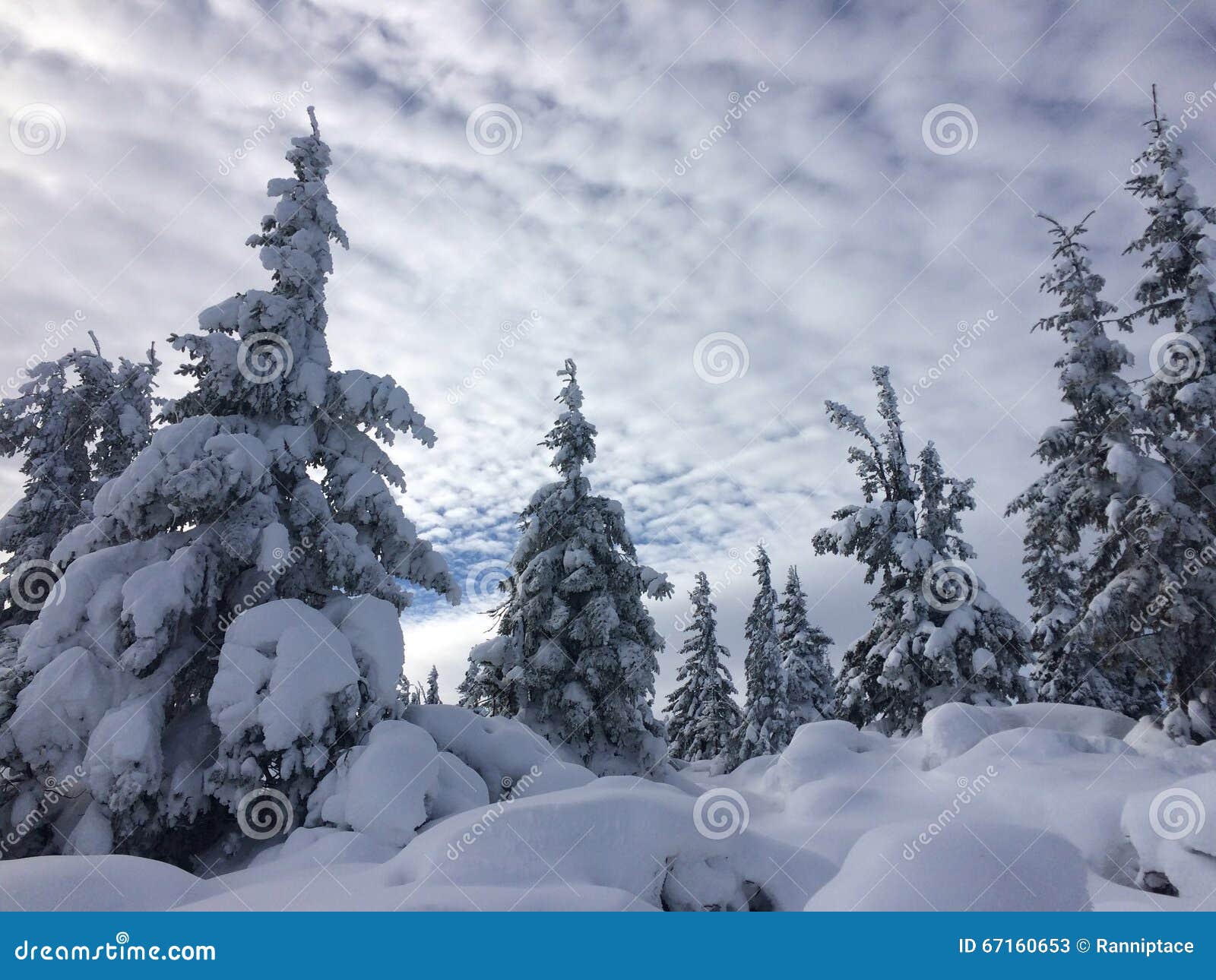 Wimter stock image. Image of mountain, forest, cloud - 67160653