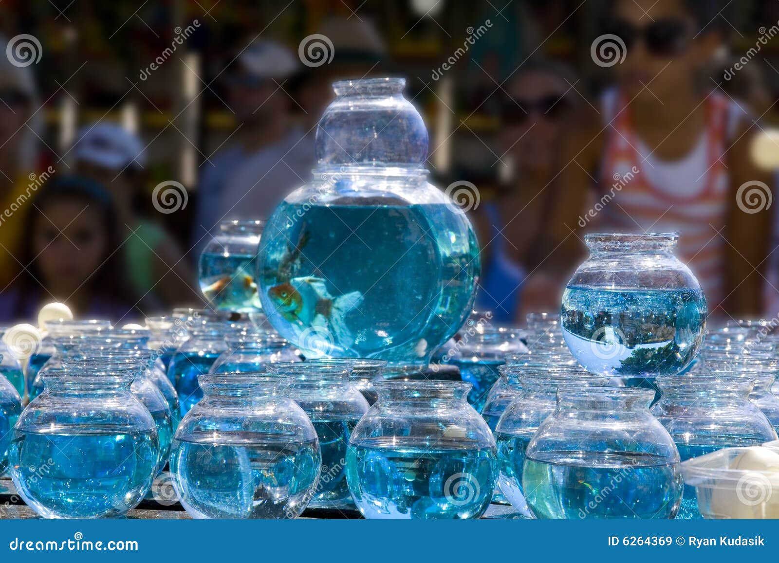 Win a gold fish stock image. Image of fish, glass, carnival - 6264369