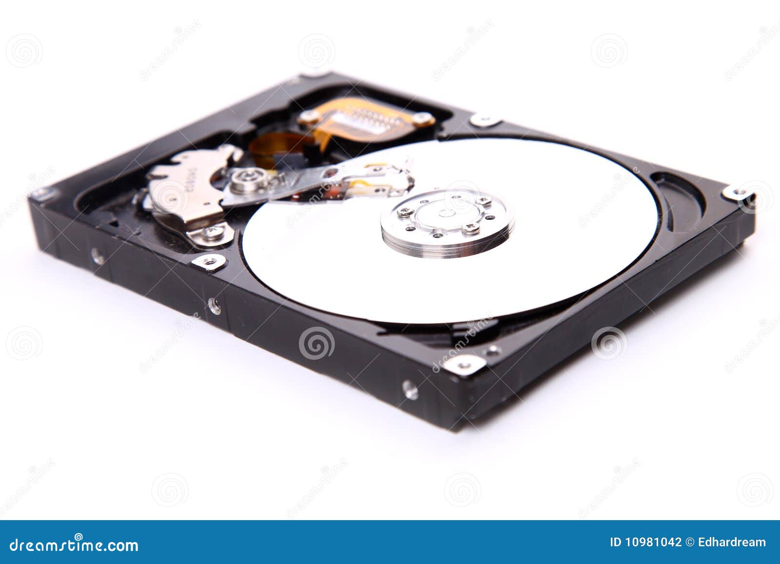 Winchester stock photo. Image of hard, memory, isolated - 10981042