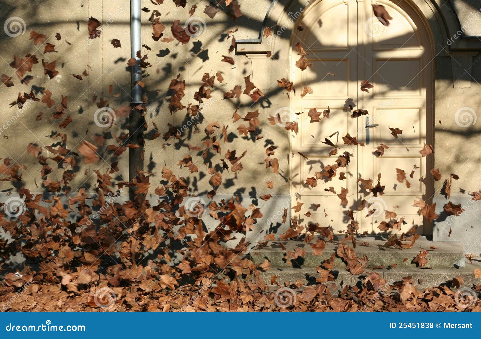 Wind stock photo. Image of leaves, leaf, action, autumn - 25451838