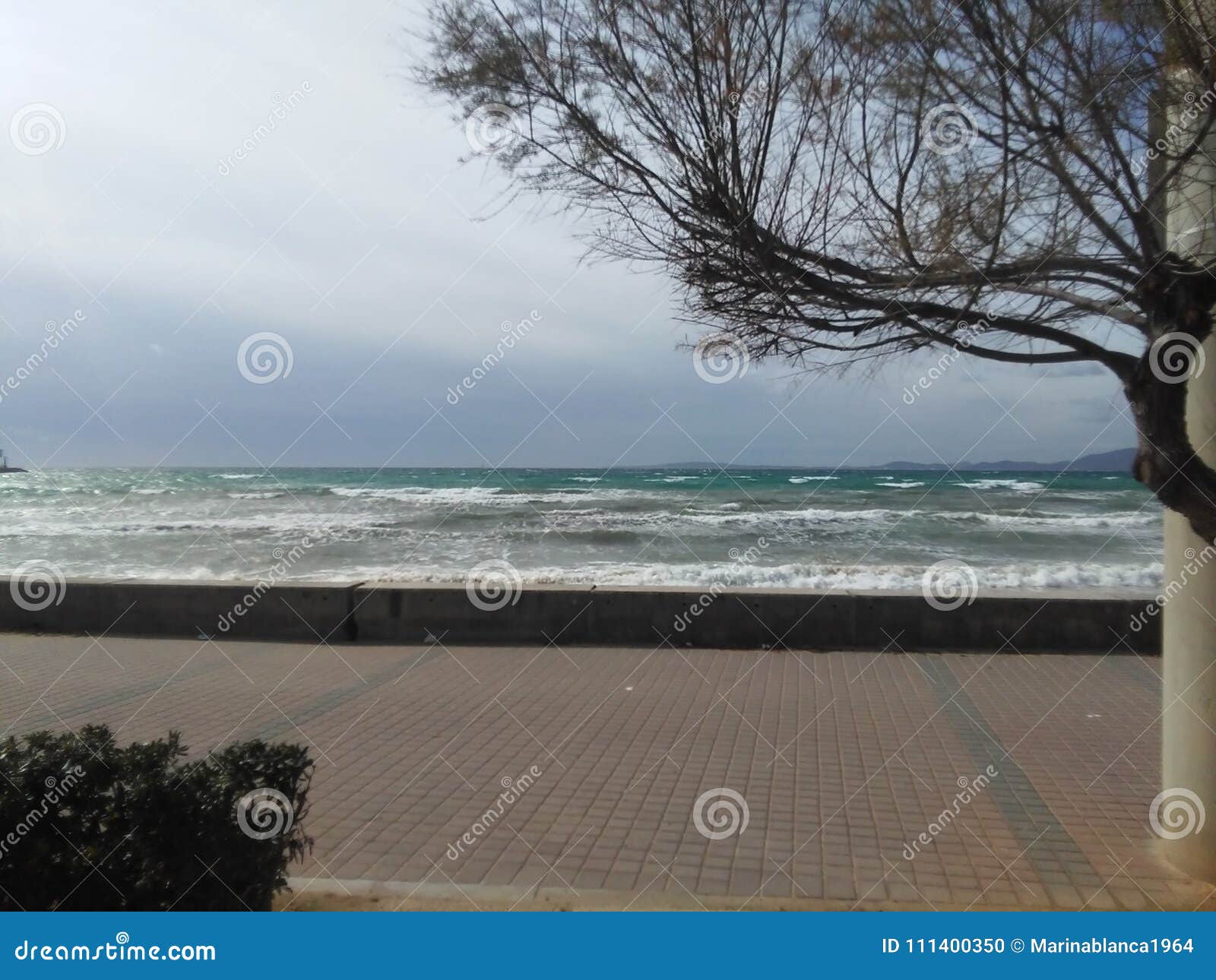 Wind at beach stock photo. Image of beach, waves, wind - 111400350