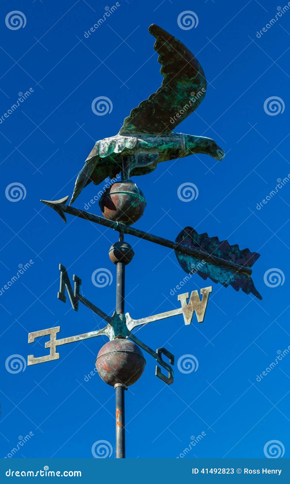 Wind Bird stock image. Image of direction, compass, metal - 41492823