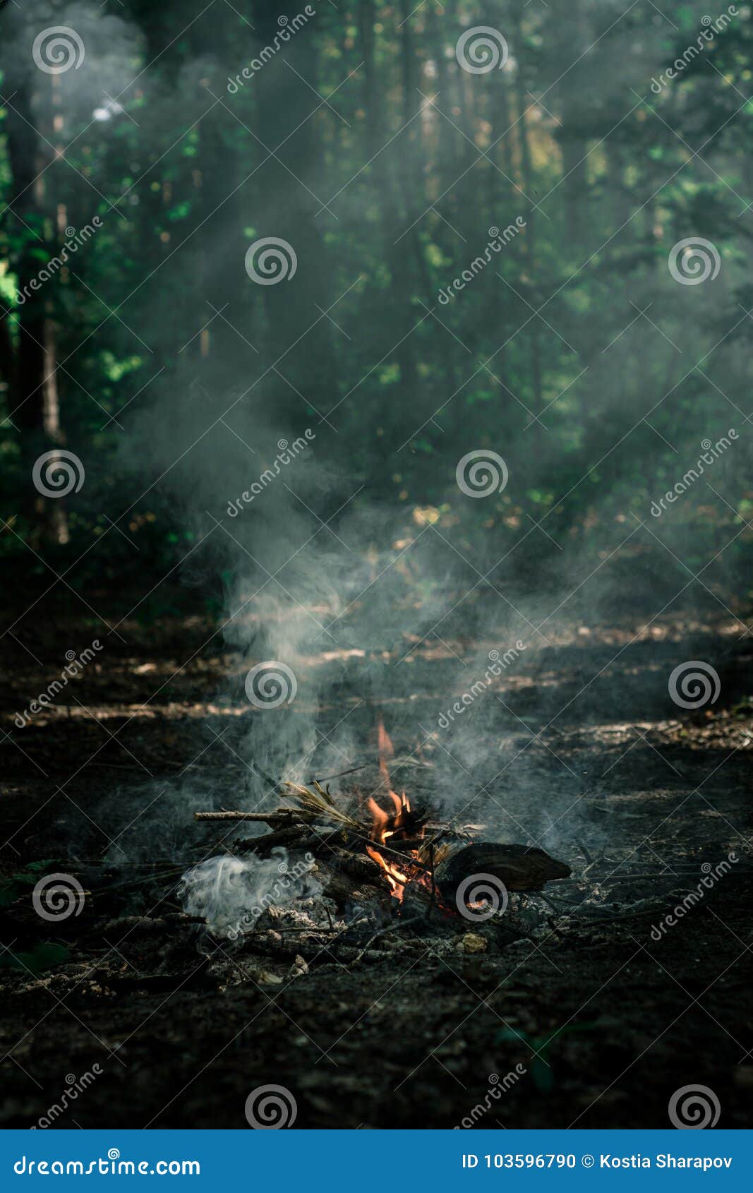 Wind is blowing on coals stock photo. Image of beauty - 103596790