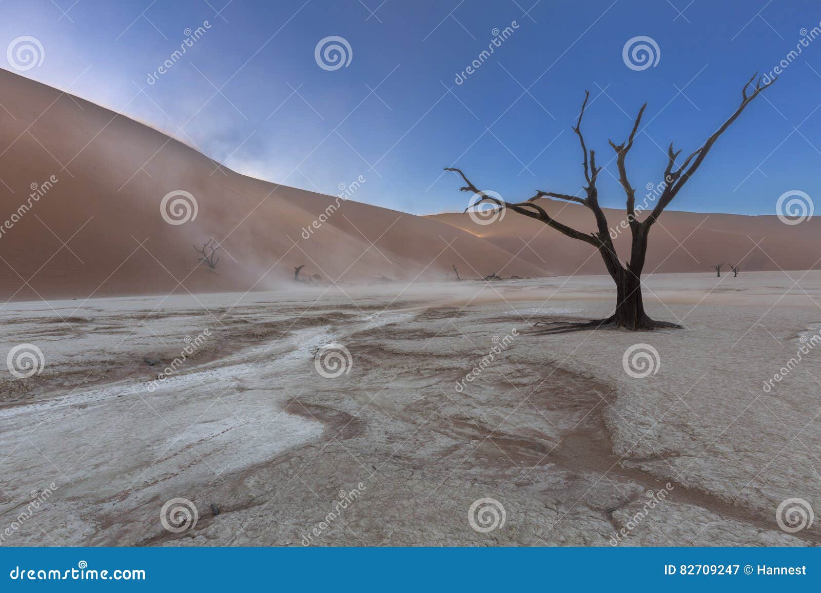 Wind Blowing Dust in Dooievlei Stock Image - Image of park, tree: 82709247