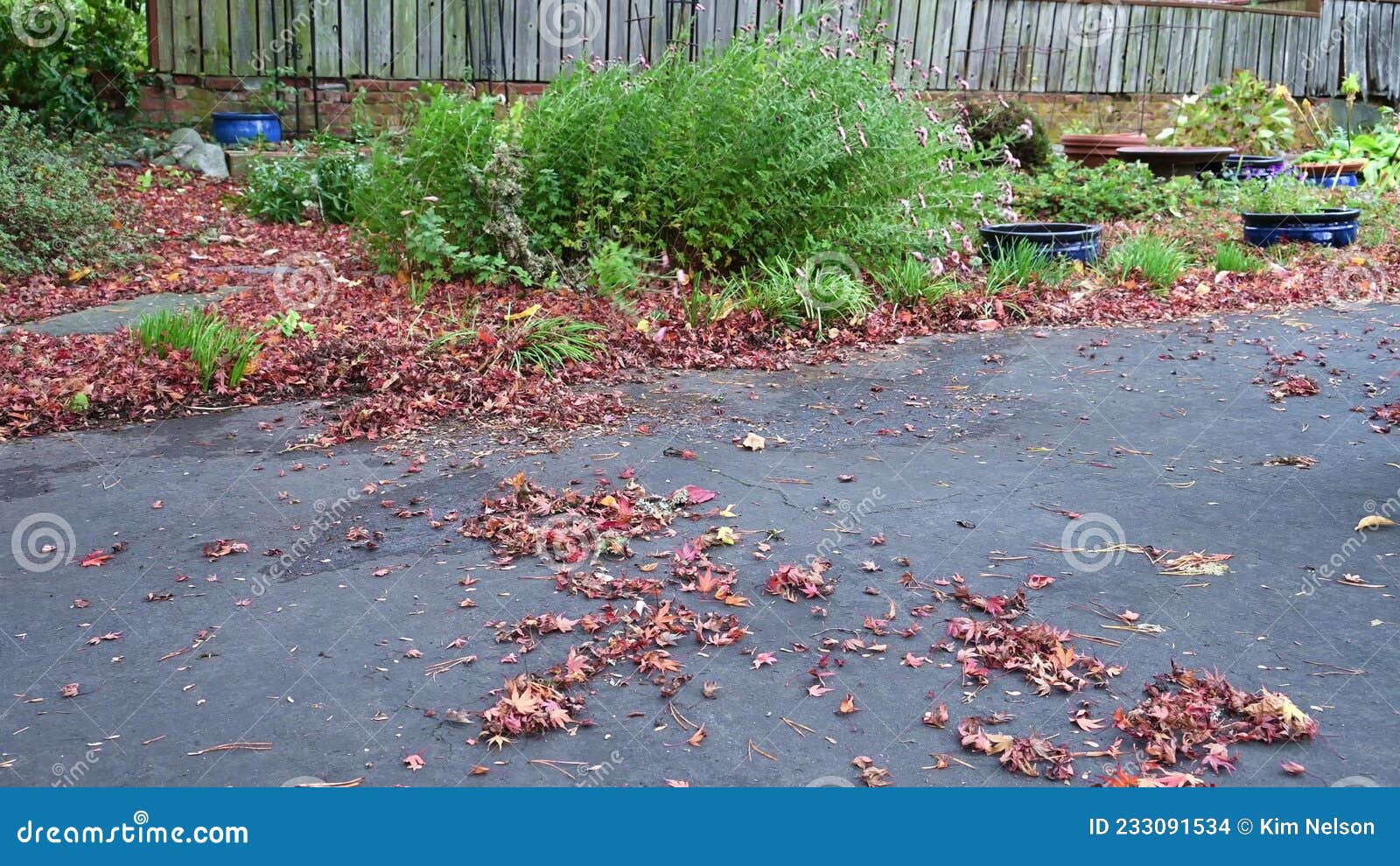 Wind Blowing Fall Leaves Over a Freshly Swept Driveway Stock Footage ...