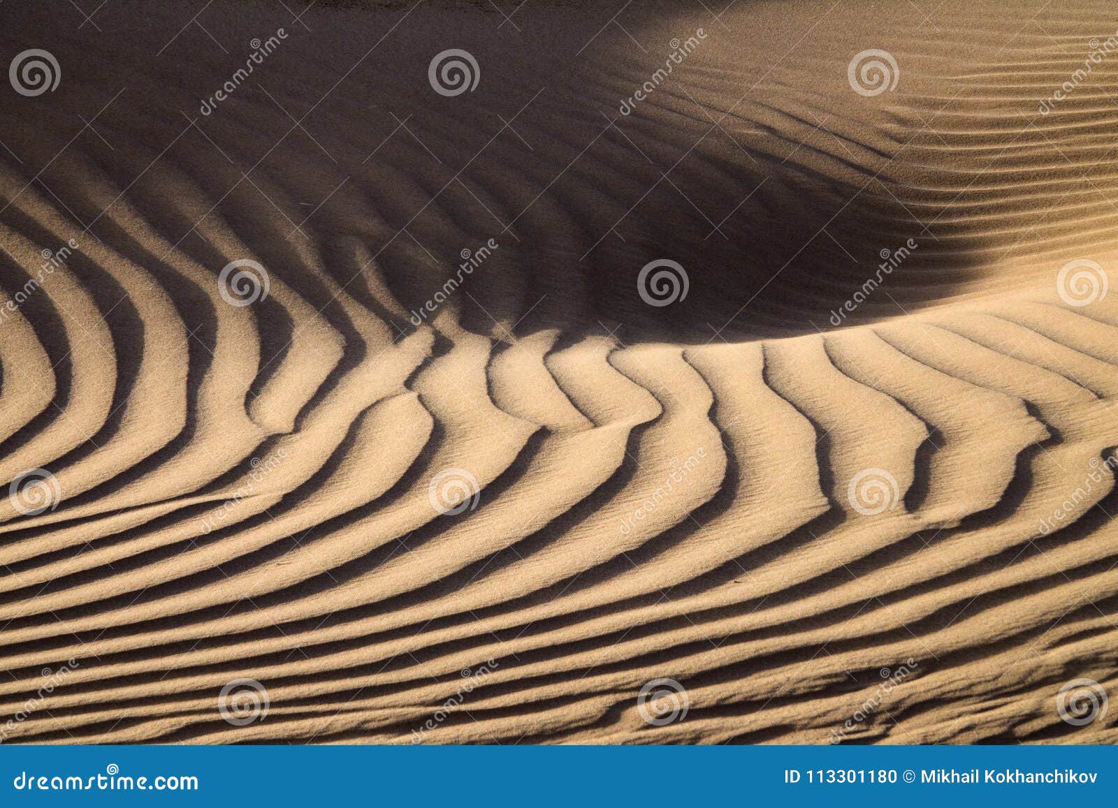 Wind Blowing Over Sand Dunes Stock Photo - Image of sand, terrain ...