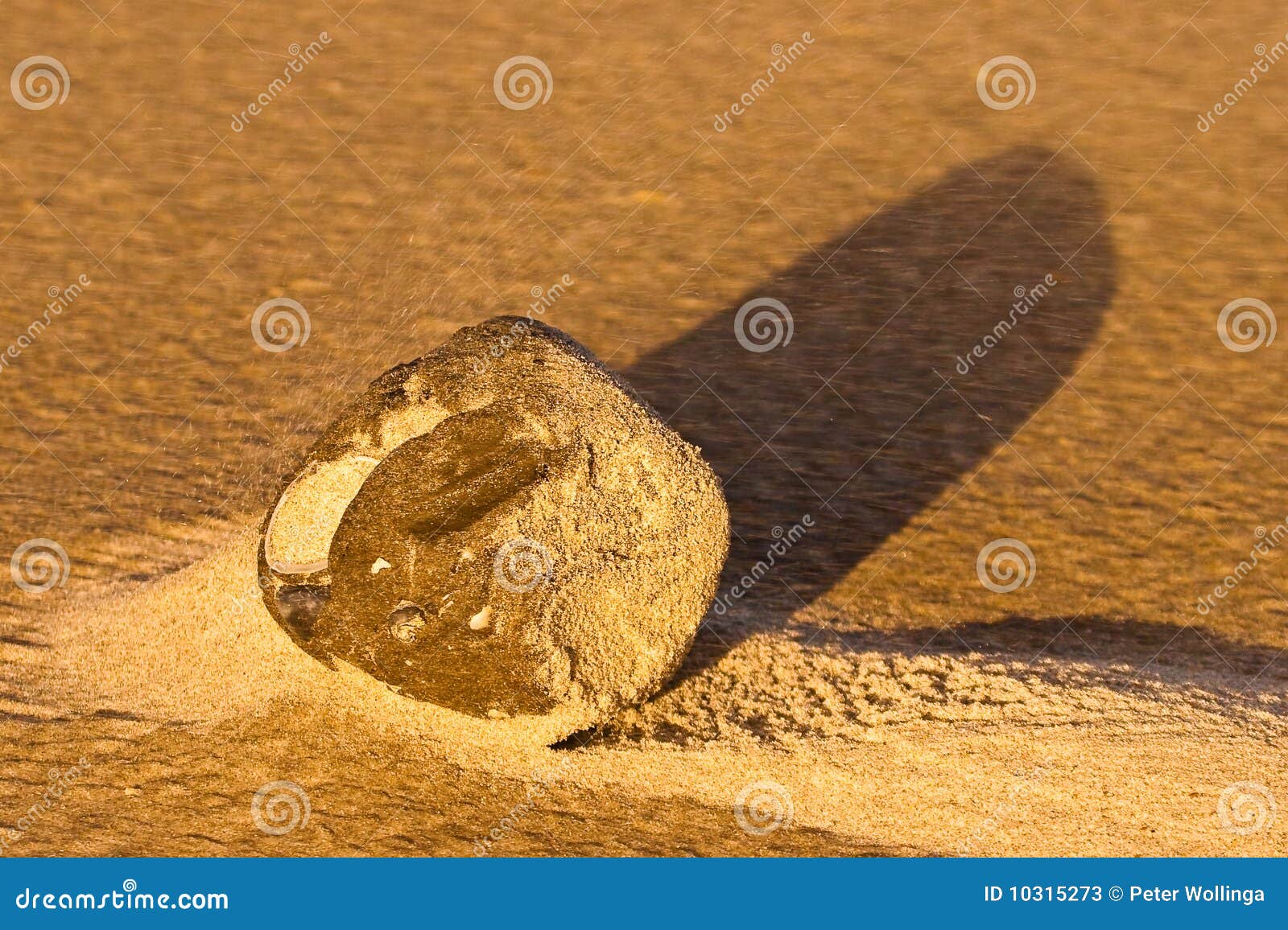 Wind Blowing Through The Sand Stock Image - Image of island, wind: 10315273
