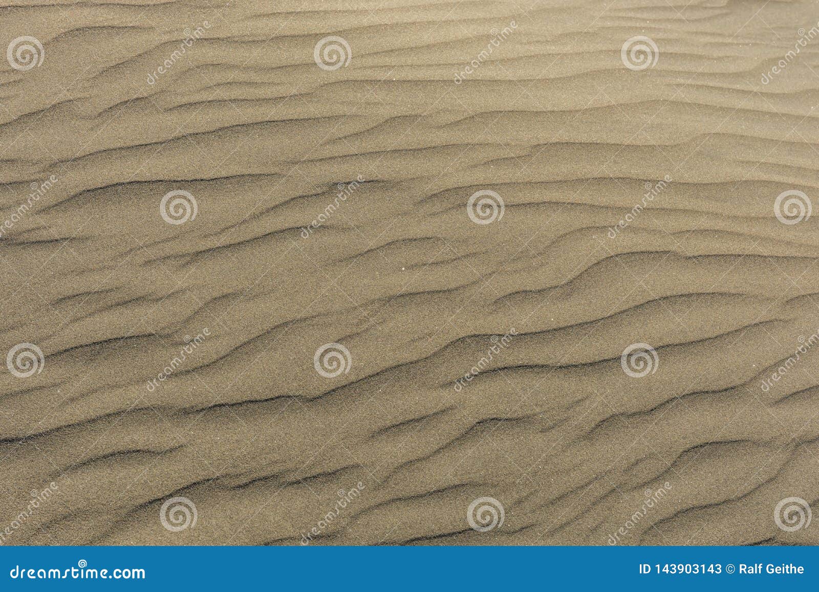 Wind Blown Sand in a Desert Stock Image - Image of habitat, natural ...