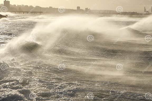 Wind blown sea stock photo. Image of africa, water, huge - 6343902