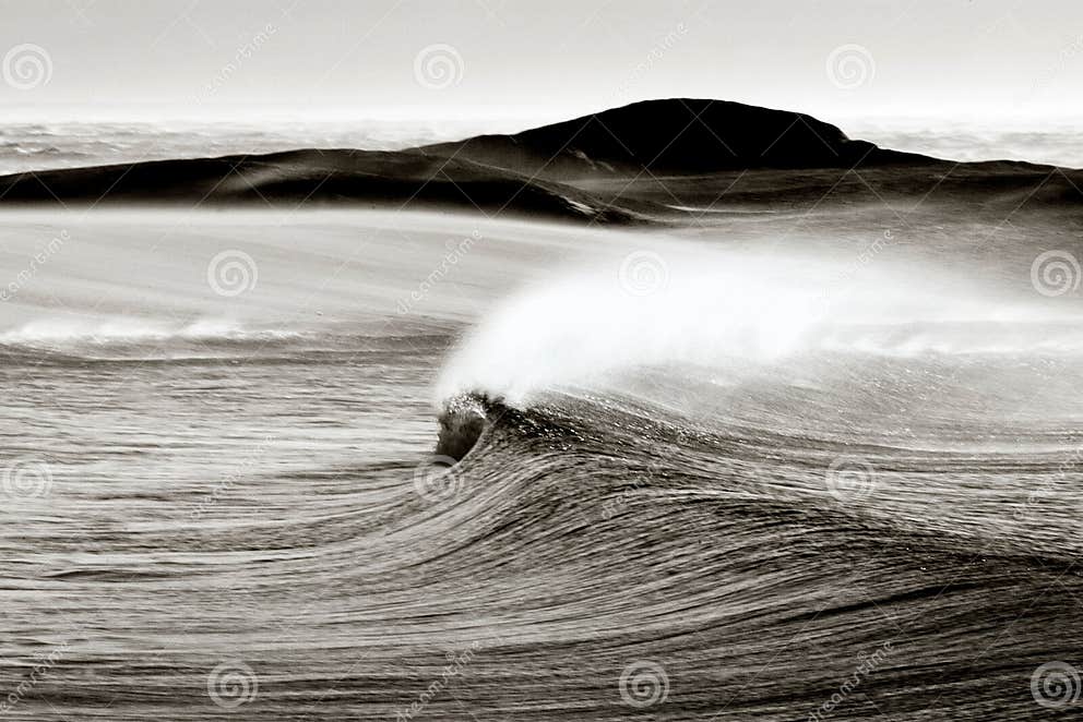 Wind blown wave stock photo. Image of seascape, vacation - 17593494