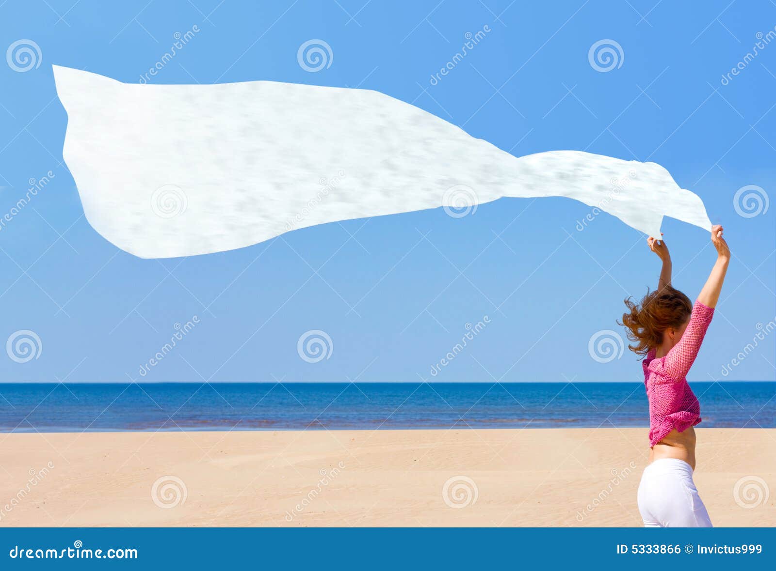 Wind blows stock photo. Image of adult, elegant, beauty - 5333866