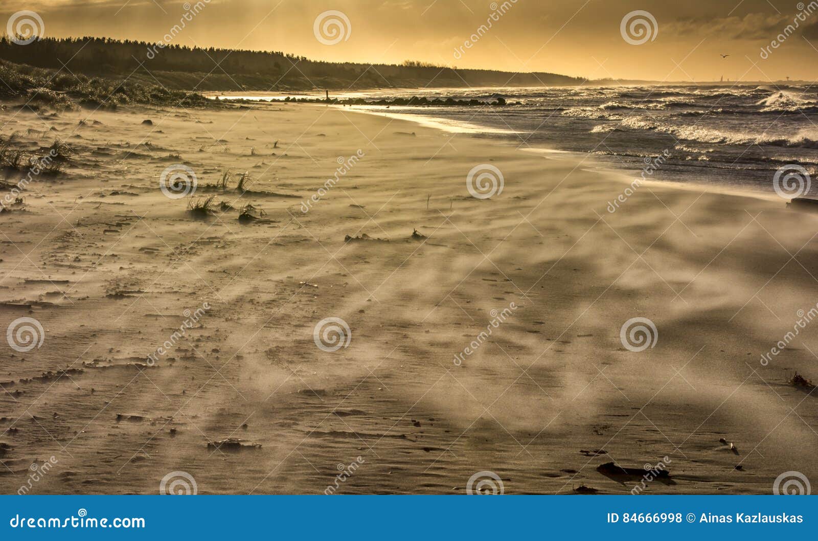 Wind Blows Sand at the Beach Stock Photo - Image of sand, baltic: 84666998