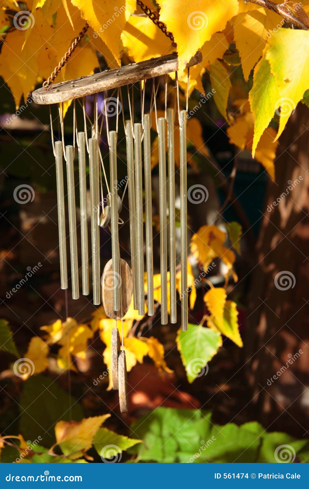 Wind Chime stock photo. Image of wind, windchimes, leaves - 561474
