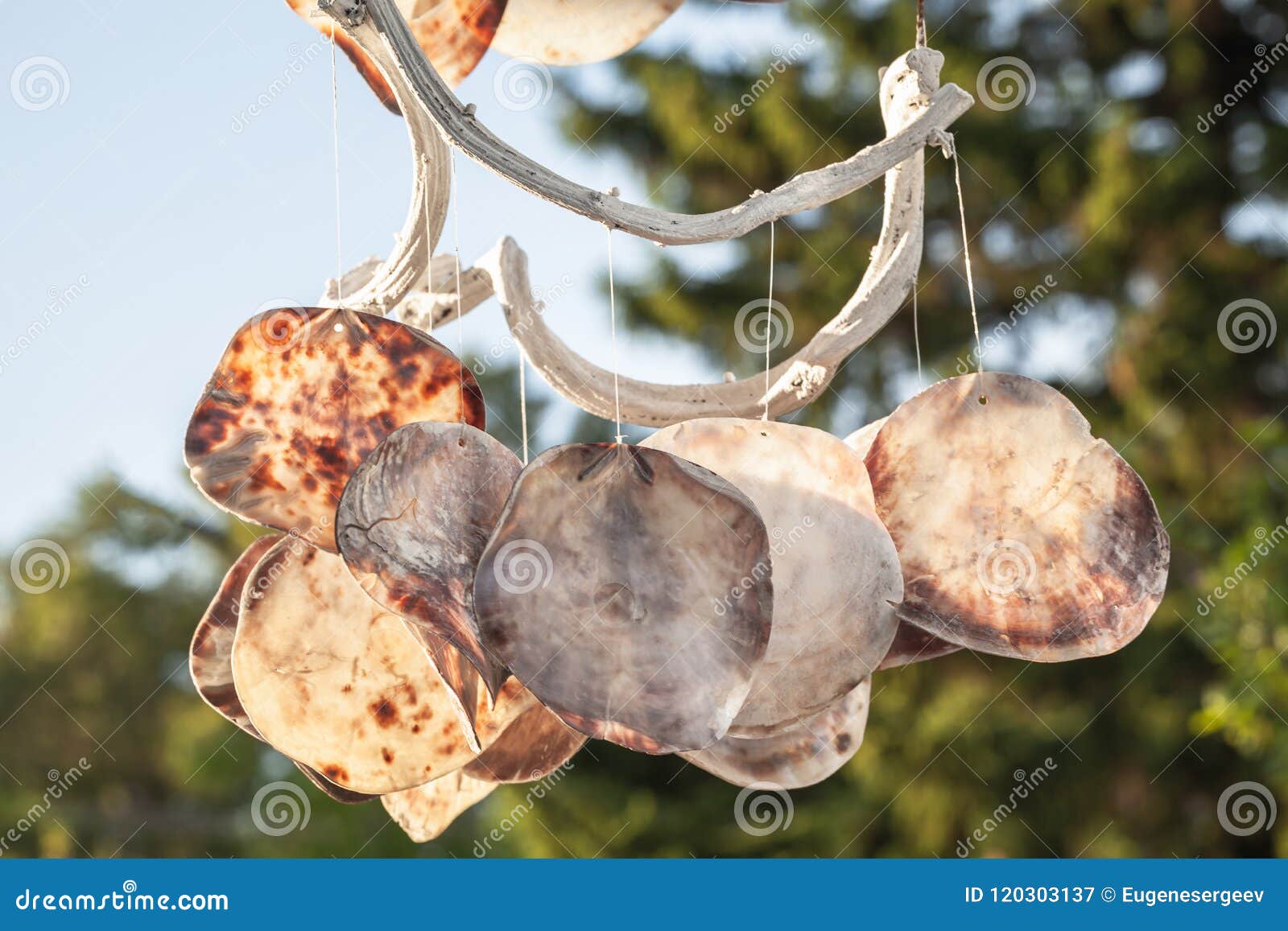 Wind Chime Made of Big Shells Stock Image - Image of summer, calm ...