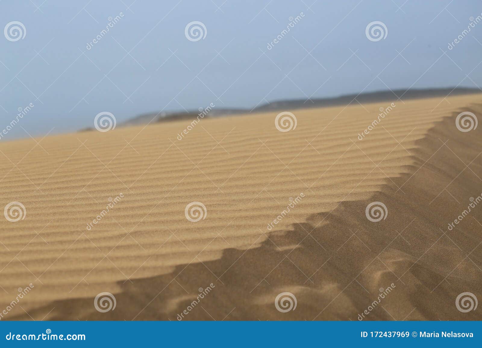Wind Comb on the Sand Dunes Stock Image - Image of detail, dune: 172437969