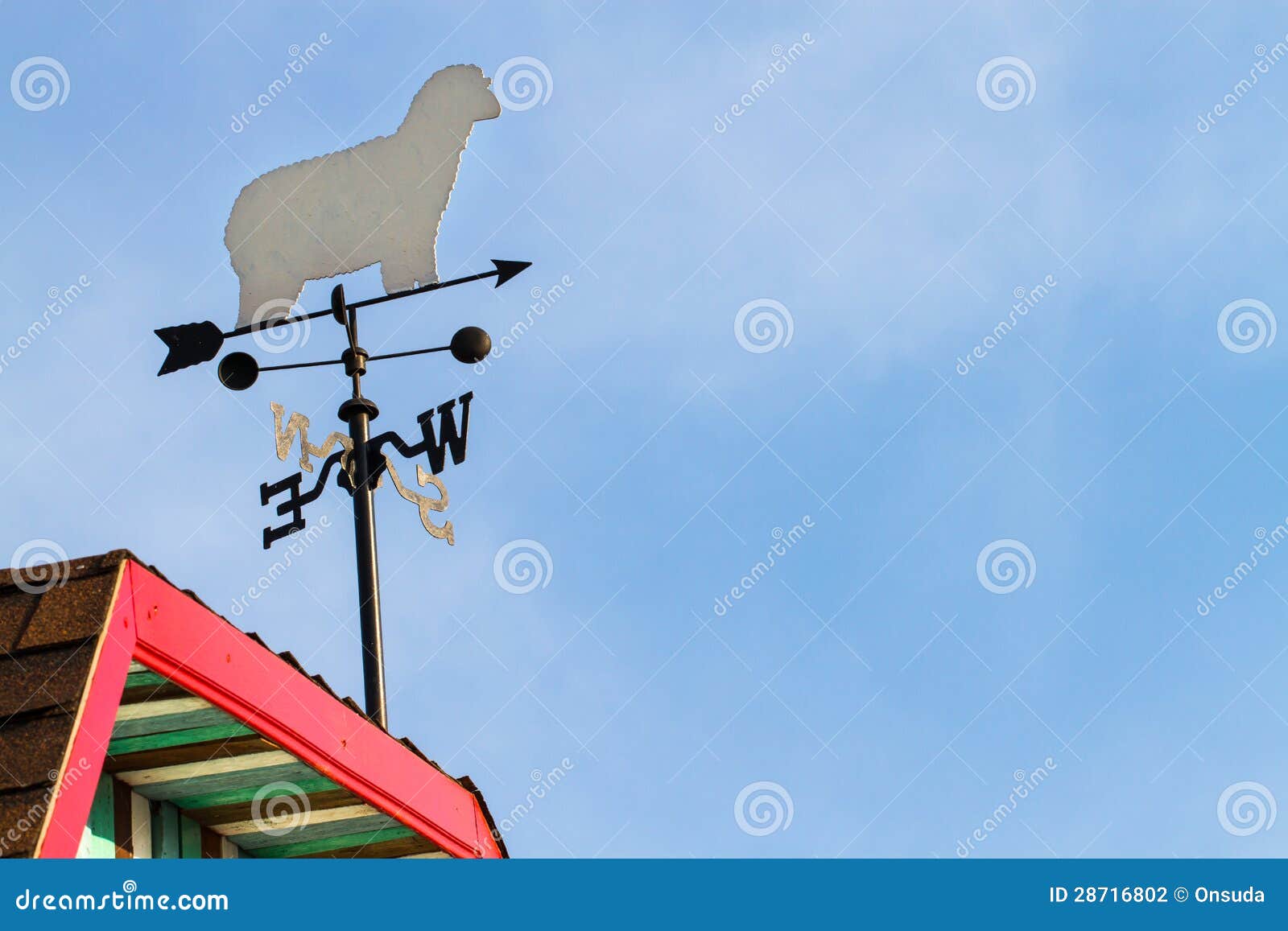 Wind compass stock photo. Image of symbol, sheep, sign - 28716802