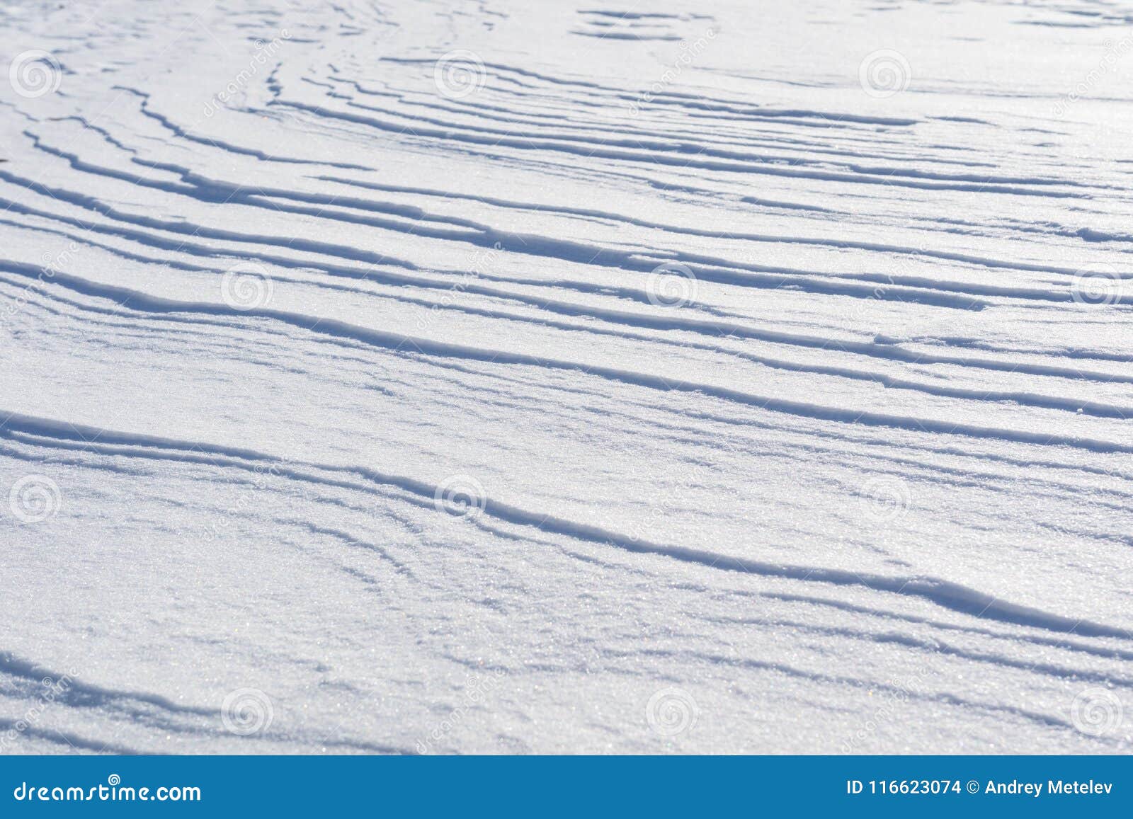 The Wind Created from the Snow a Wave Structure Similar To the Sea ...