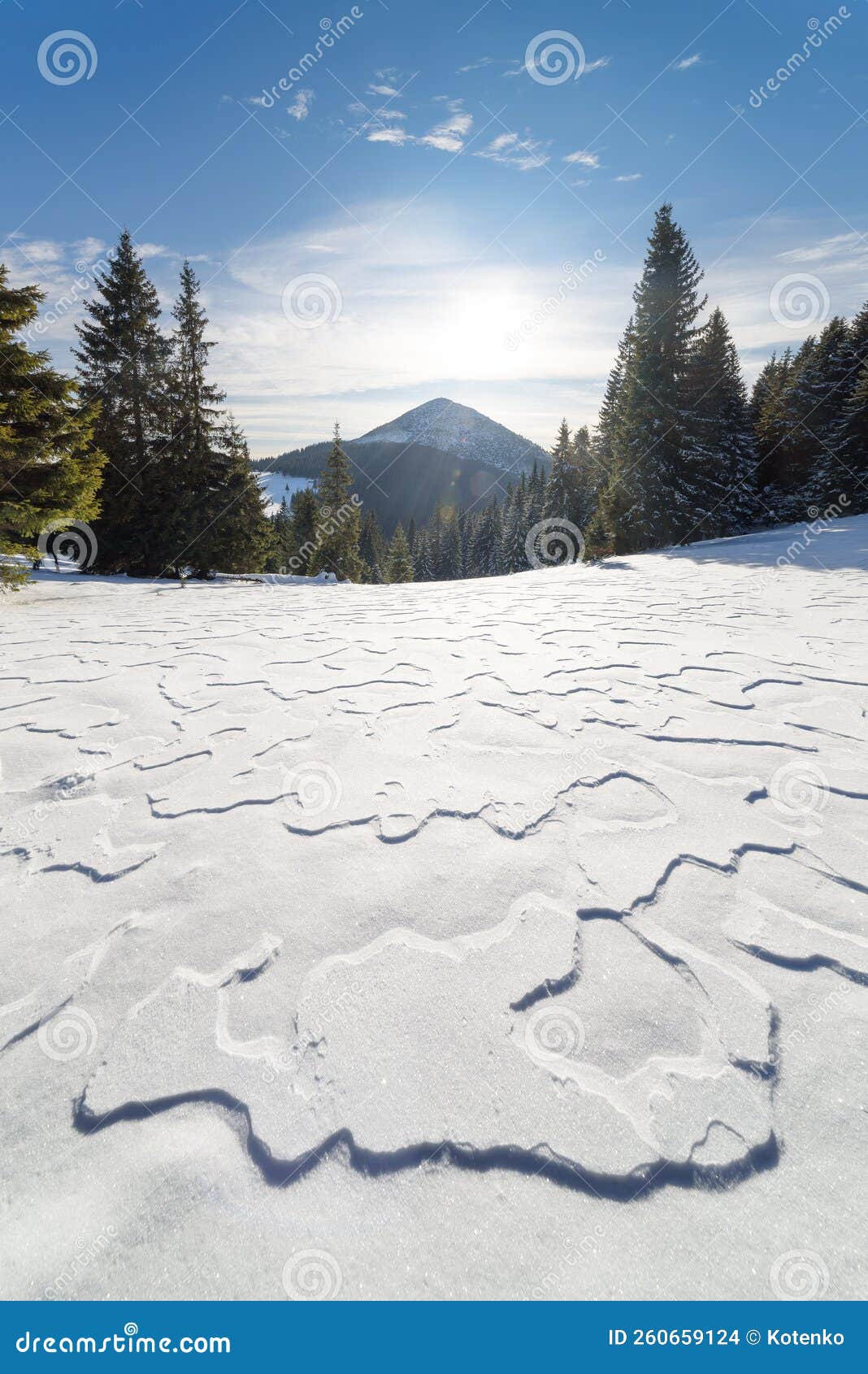 Wind crust on the snow stock photo. Image of view, weather - 260659124