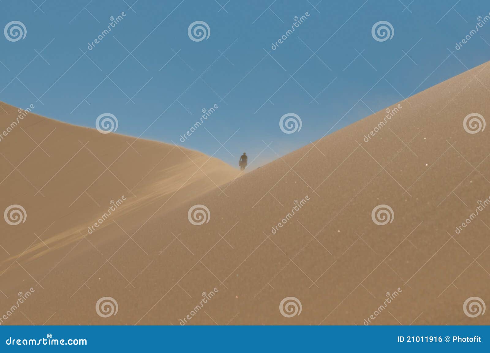 Wind in the desert stock photo. Image of adventure, sand - 21011916