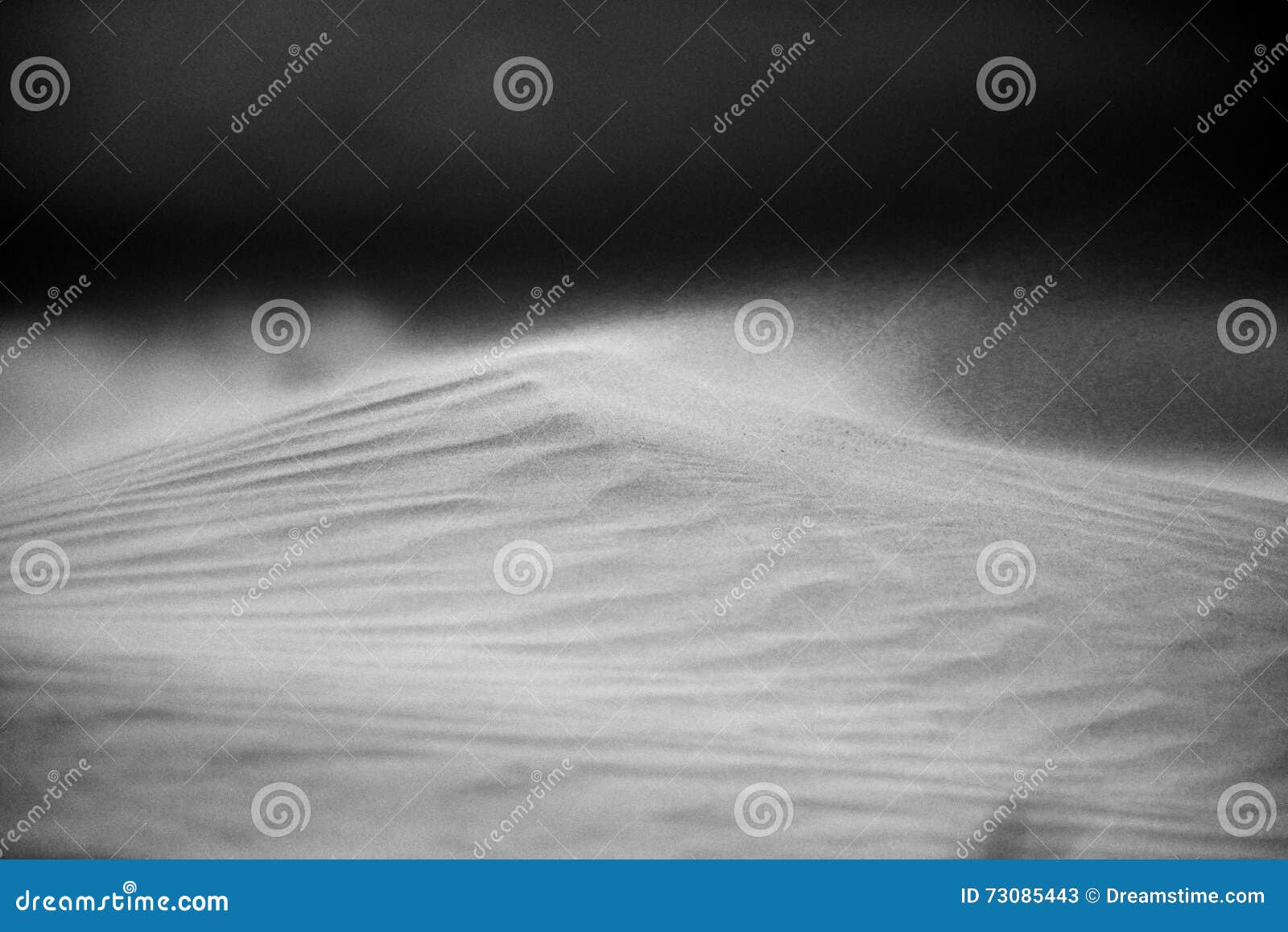 The Wind in the Desert - Black and White Stock Image - Image of nature ...
