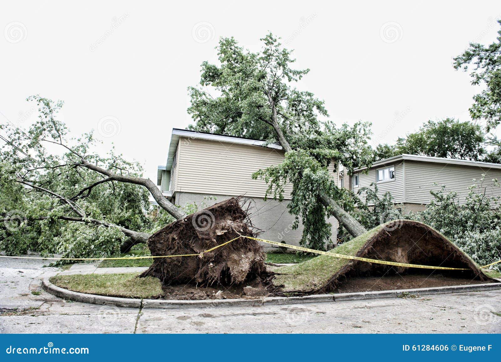 Wind Destruction Outdoors stock photo. Image of damage - 61284606
