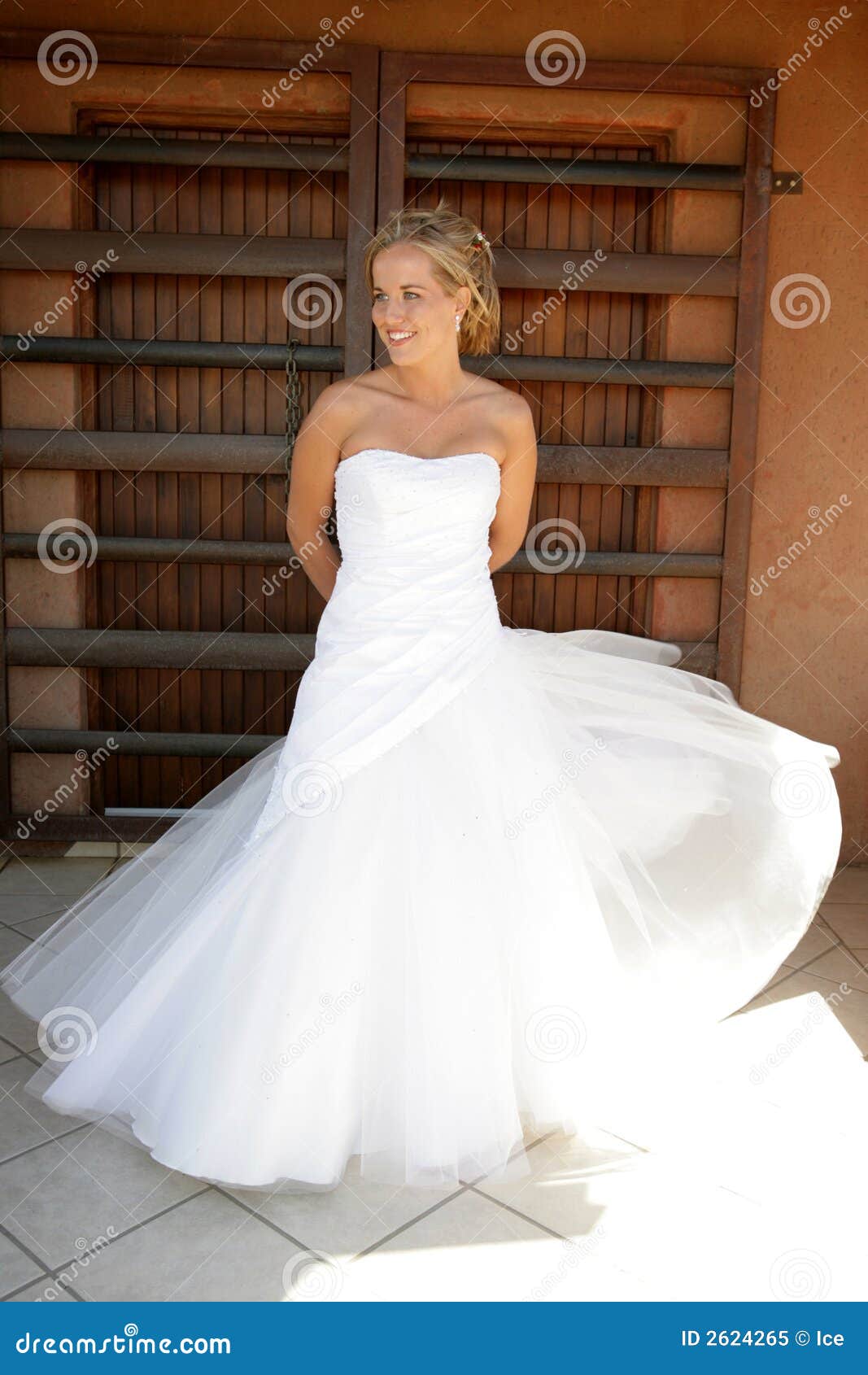Wind Dress stock image. Image of future, fresh, hair, bride - 2624265