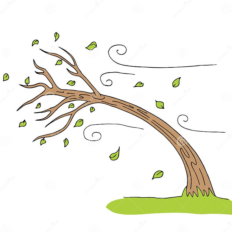 Wind durchgebrannter Baum vektor abbildung. Illustration von boen ...