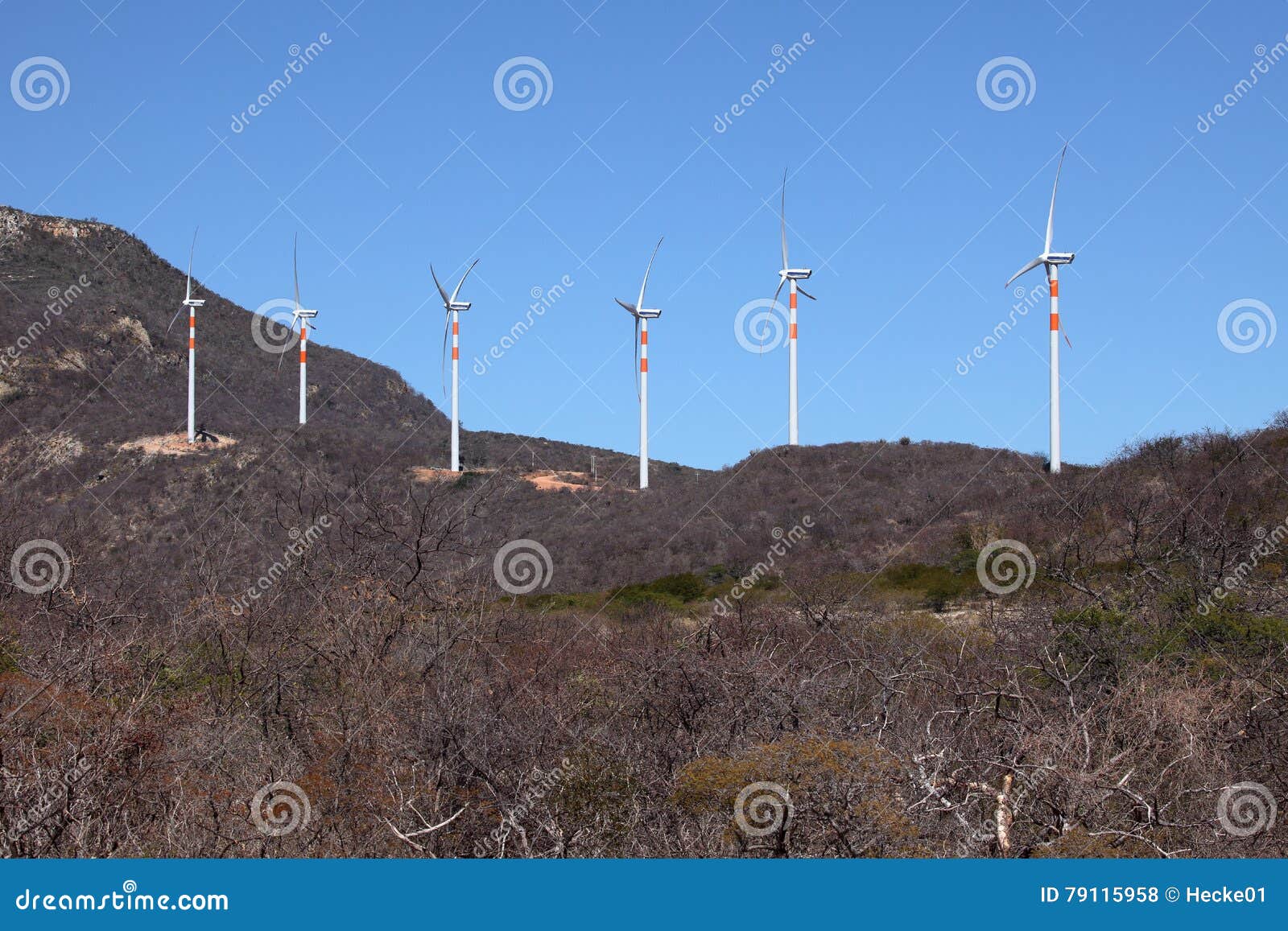 Wind Energy Plants in the Caatinga of Brazil Stock Photo - Image of ...