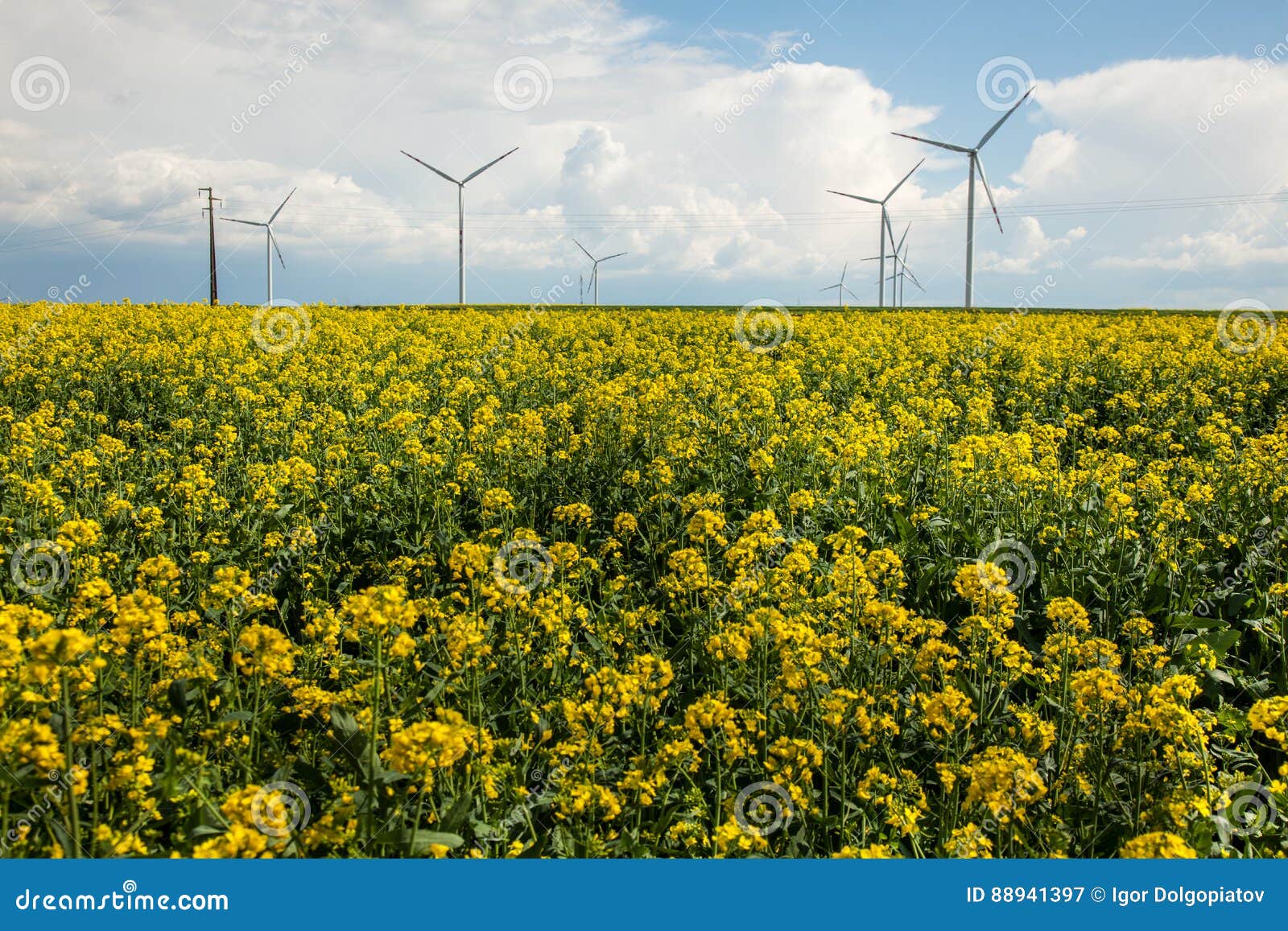 Wind Energy Turbines on Yellow Field Stock Image - Image of generator ...