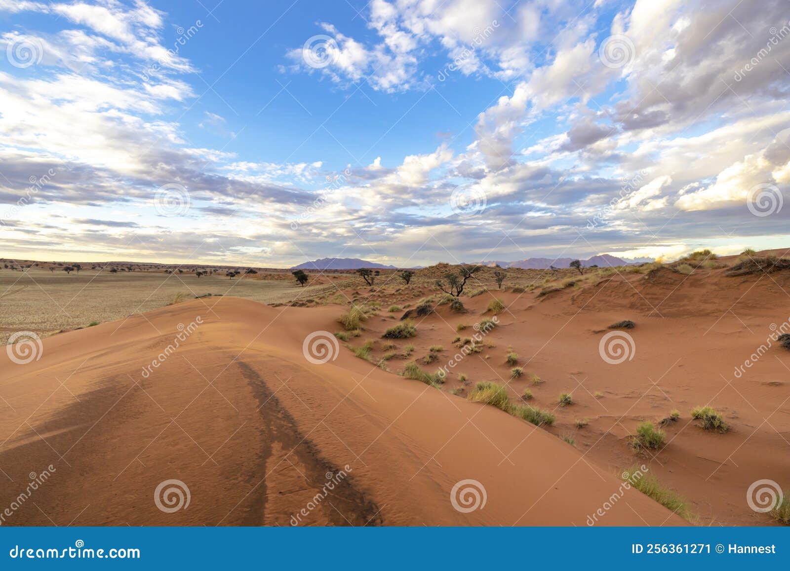 Wind Erosion Lay Dark Layer of Sand Bare on the Dune Stock Image ...