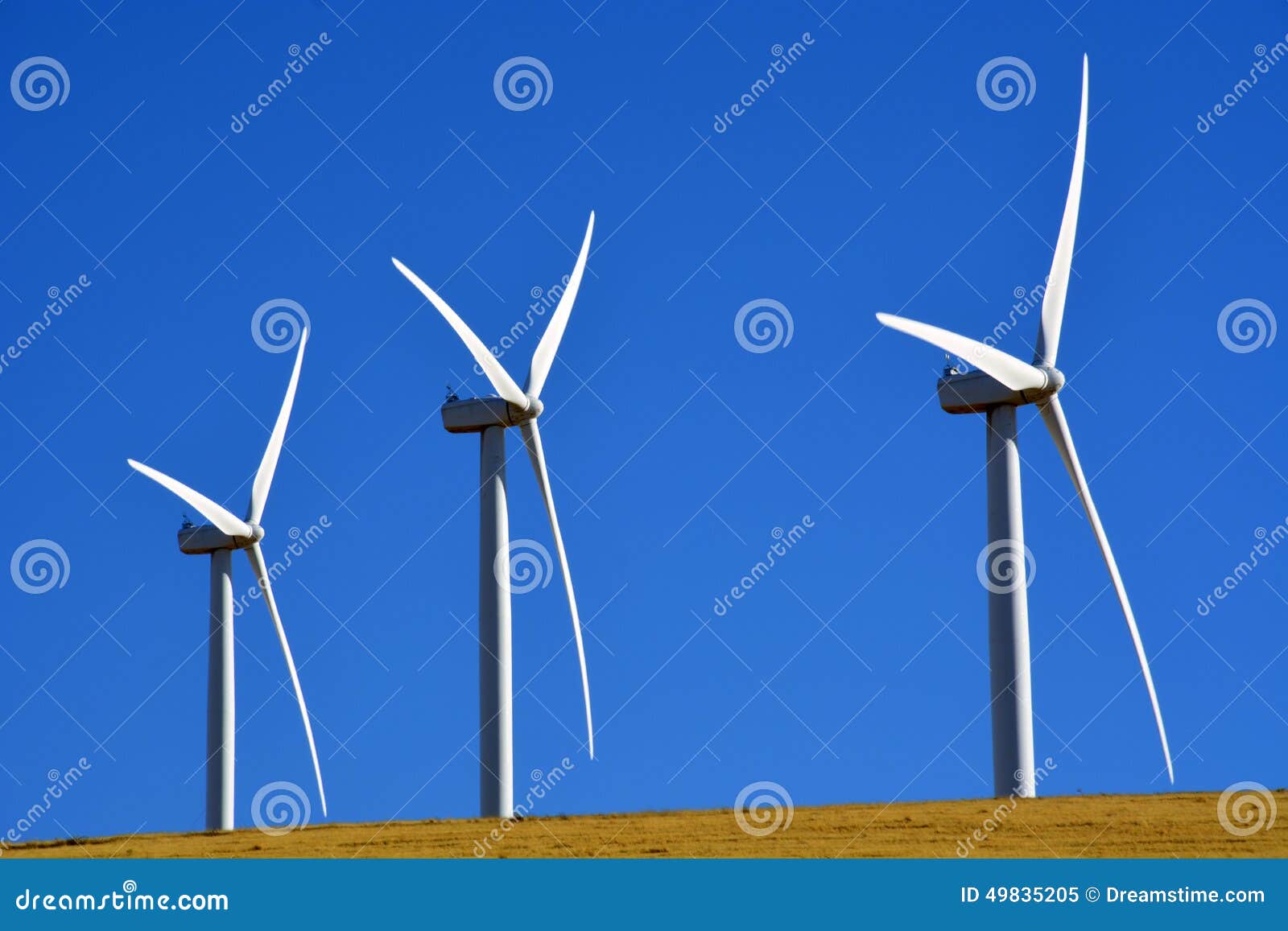 Biglow Stock Photos - Free & Royalty-Free Stock Photos from Dreamstime