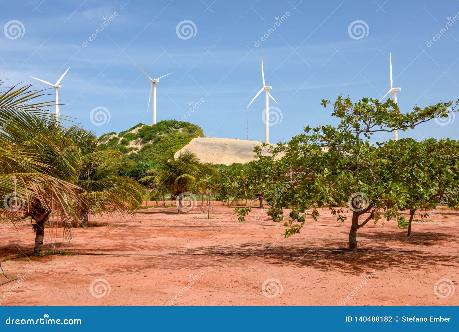 Wind Farm at Canoa Quebrada on Brazil Editorial Photography - Image of ...