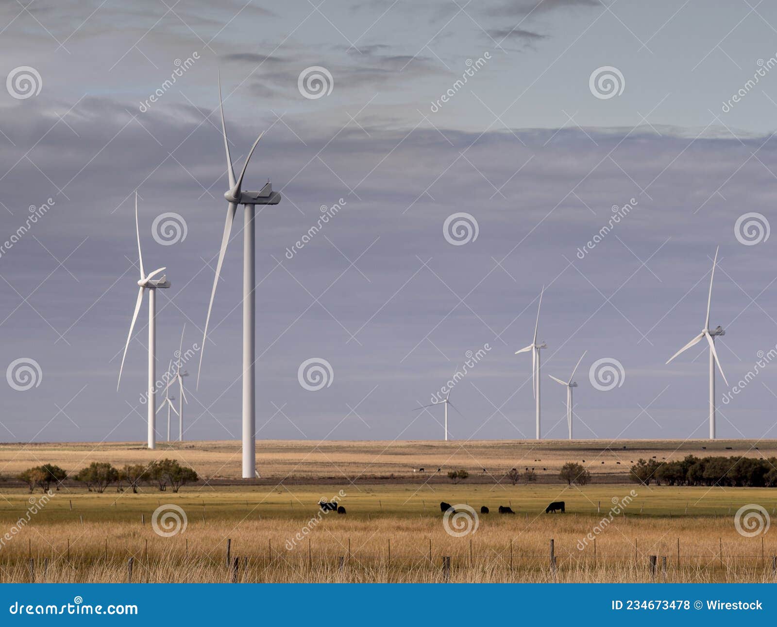 Wind farm with mills stock photo. Image of mill, sustainable - 234673478