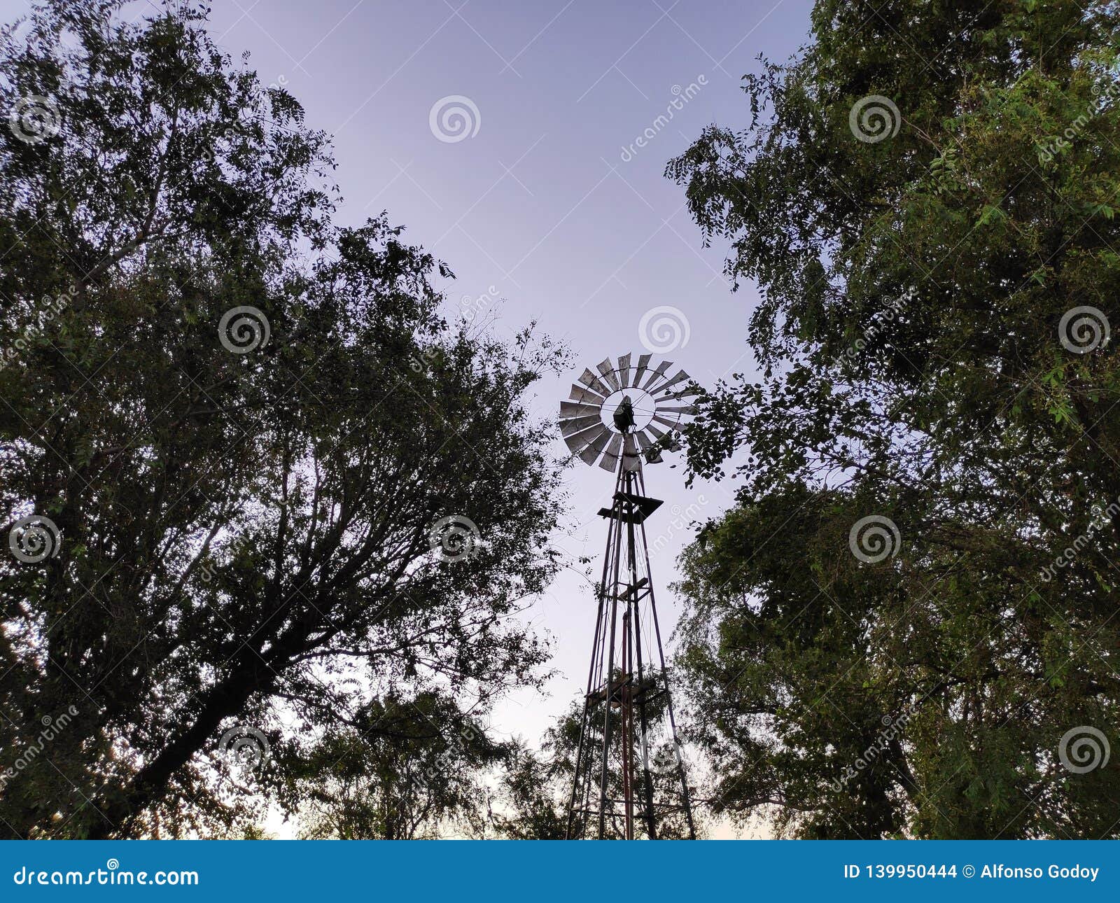 Wind in a farm stock photo. Image of nature, farm, trees - 139950444