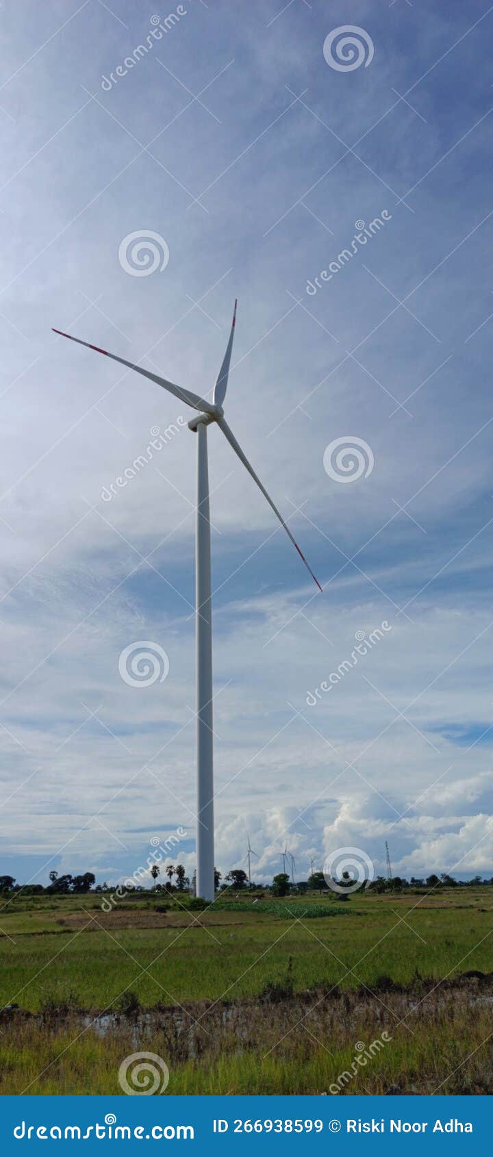 Wind farm on the rice farm stock image. Image of grassland - 266938599