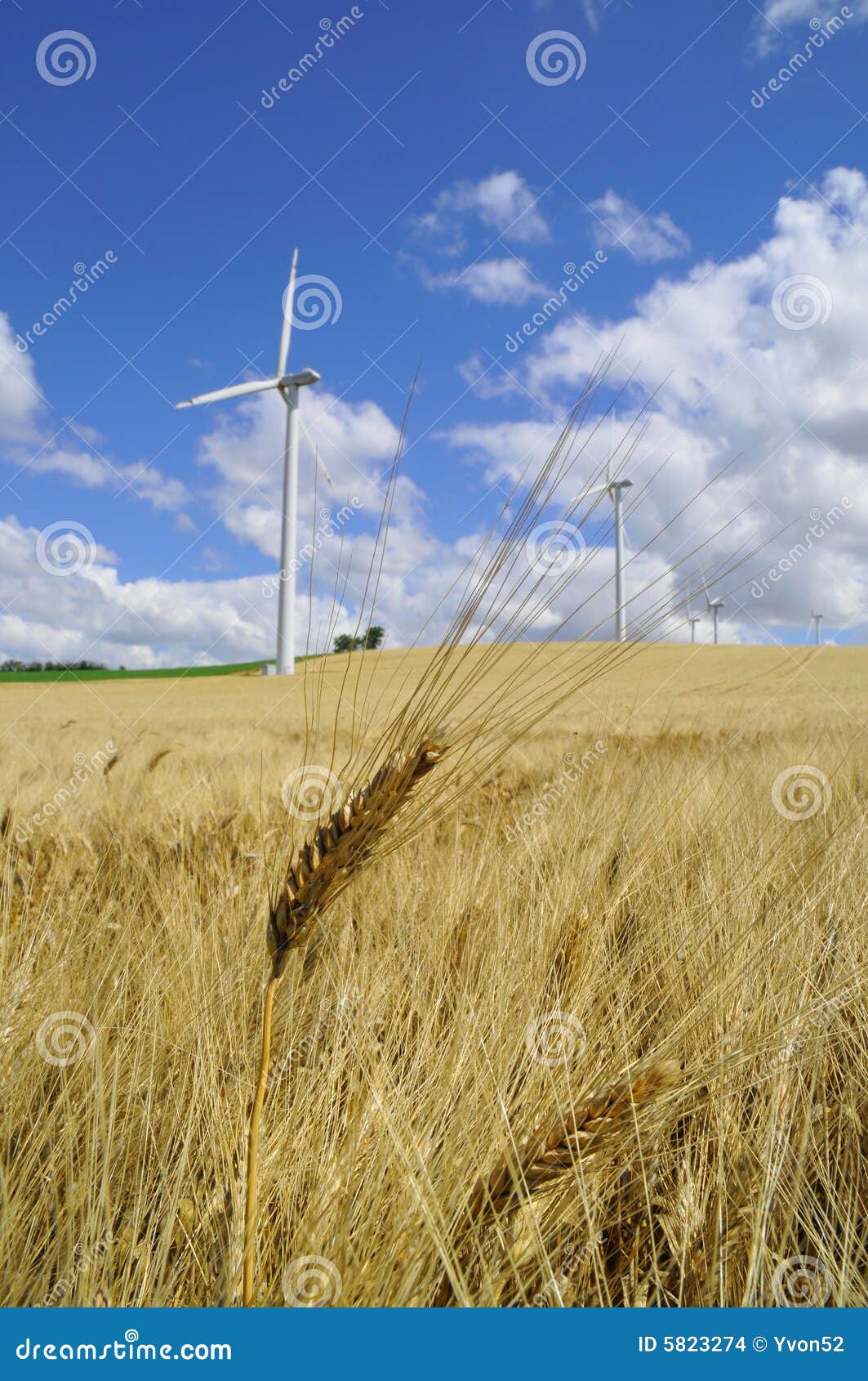 Wind farm in summer stock photo. Image of field, windmill - 5823274