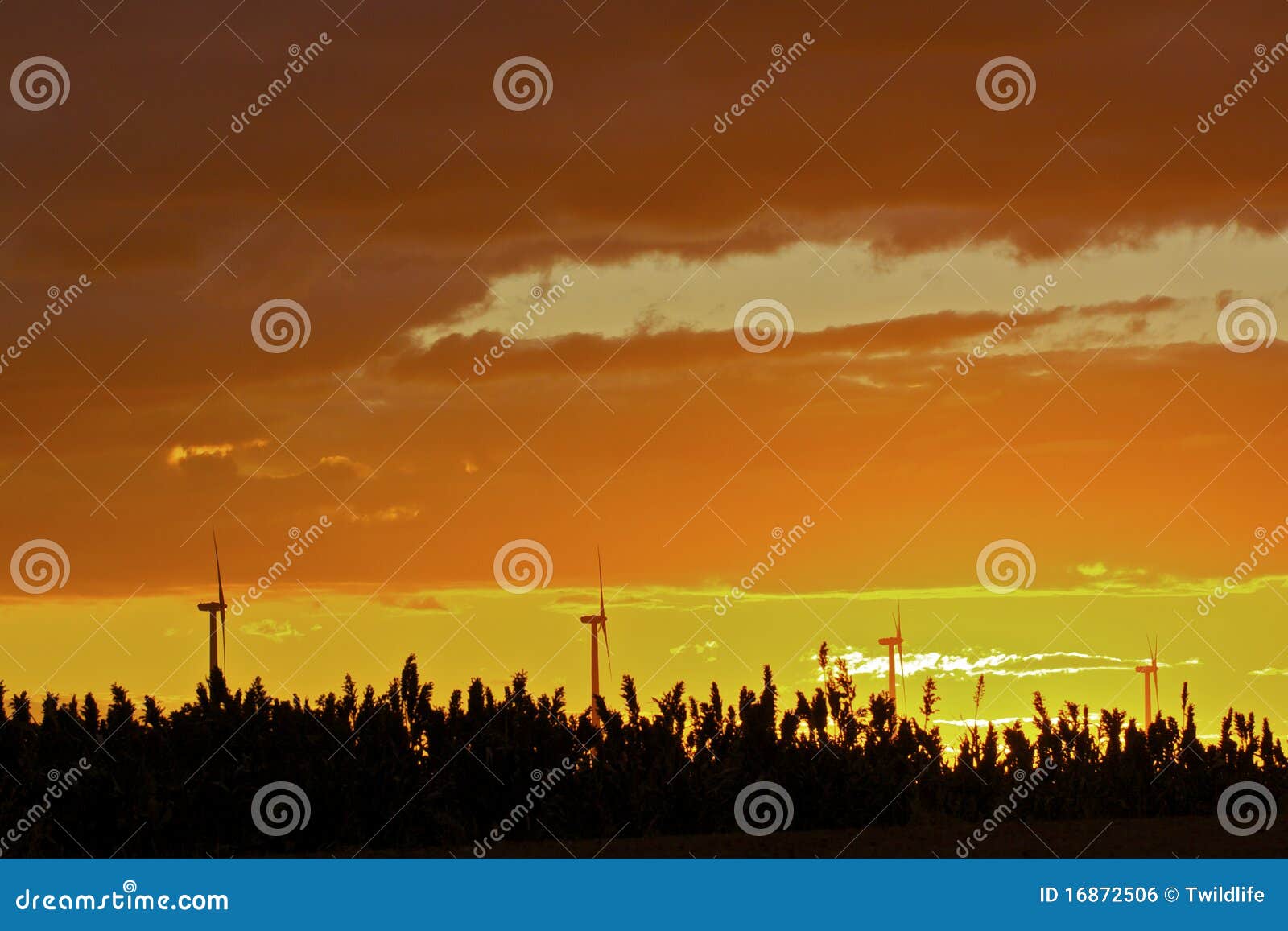 Wind Farm in Sunset stock photo. Image of scenic, windmill - 16872506