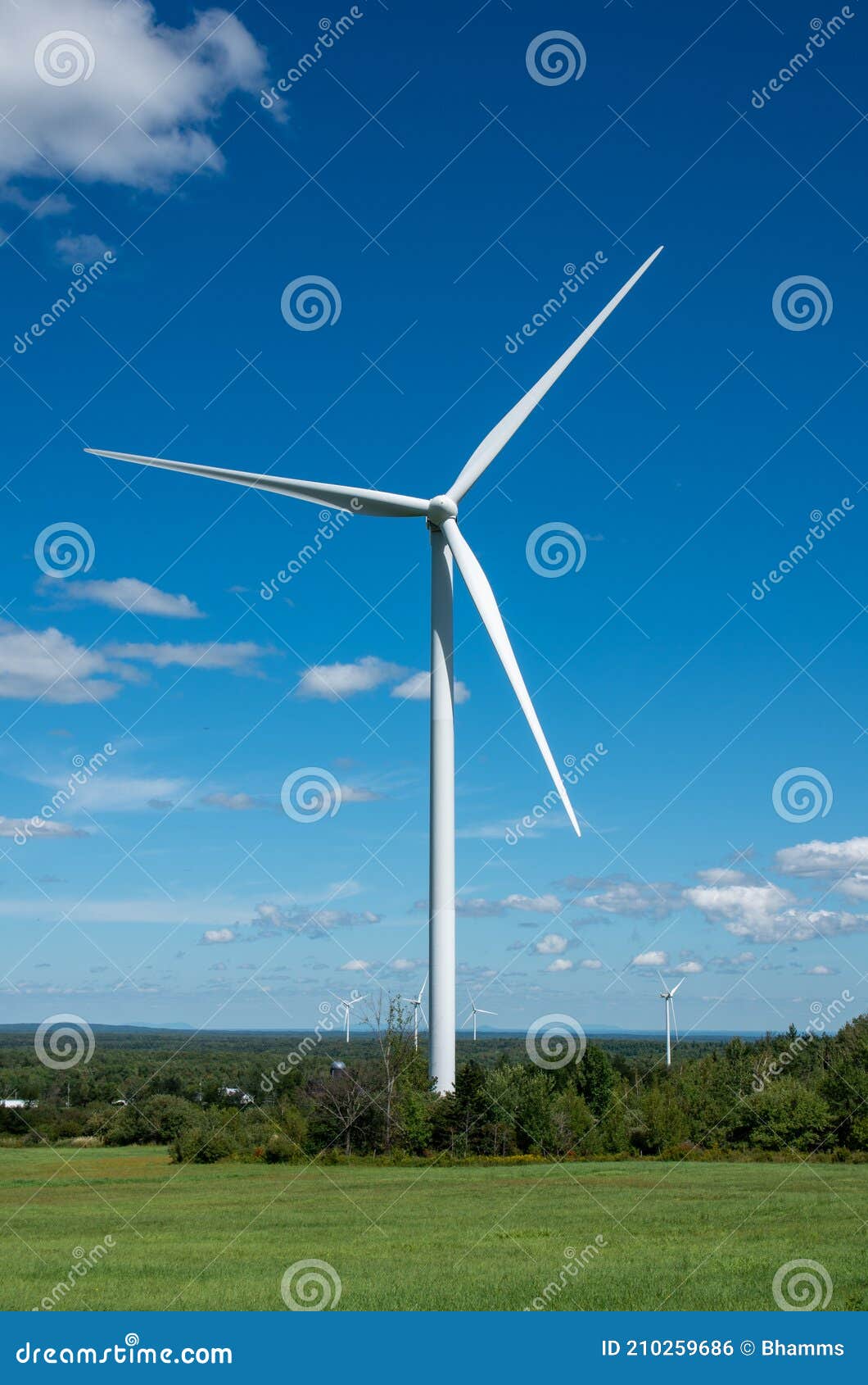 Wind Turbines at a Wind Farm Stock Photo - Image of skies, bushes ...