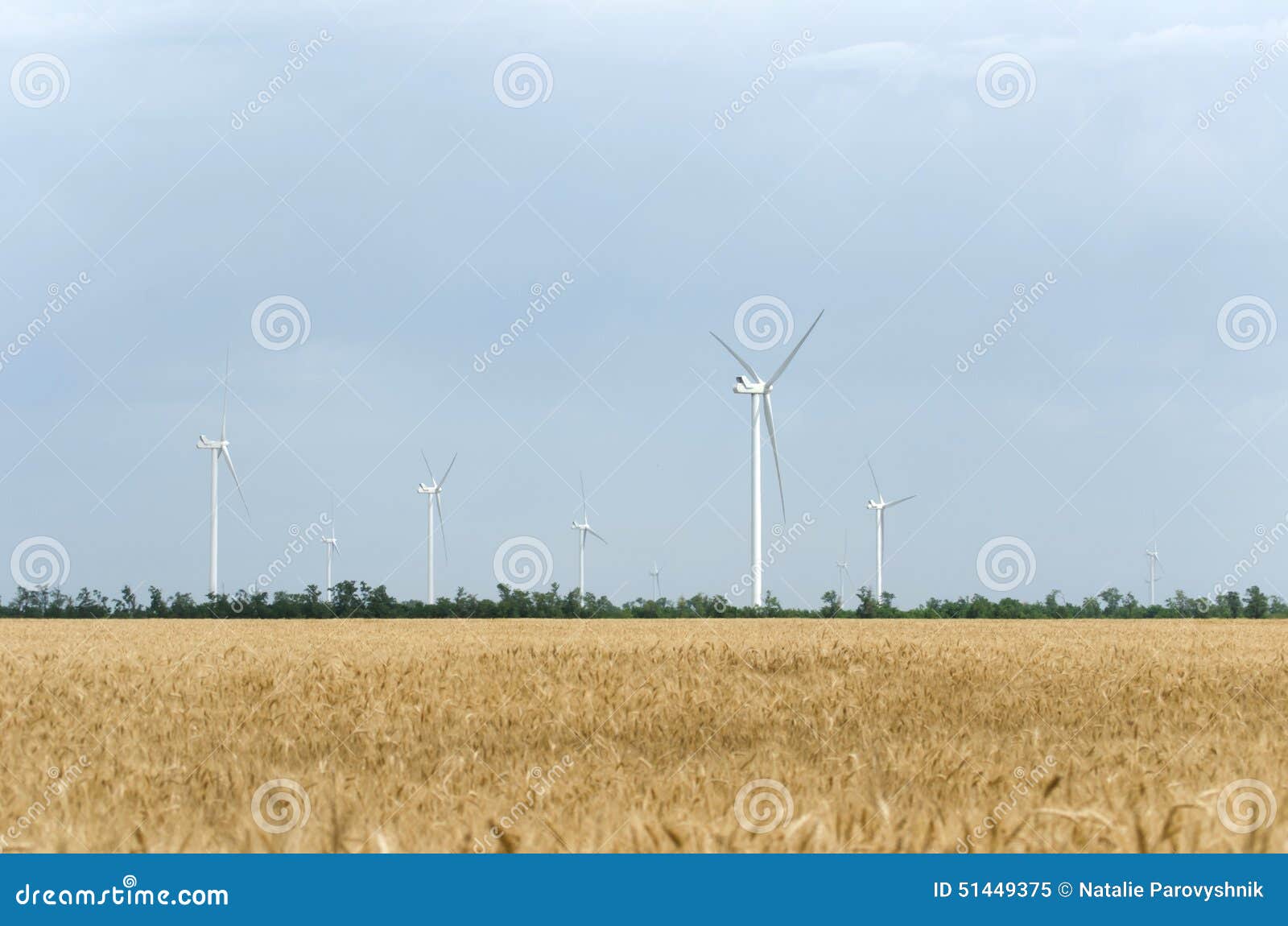 A Wind Farm in the Wide Spread Field Stock Image - Image of edge, power ...
