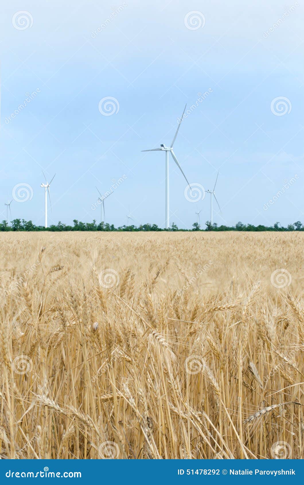 A Wind Farm in the Wide Spread Field Stock Photo - Image of recycle ...