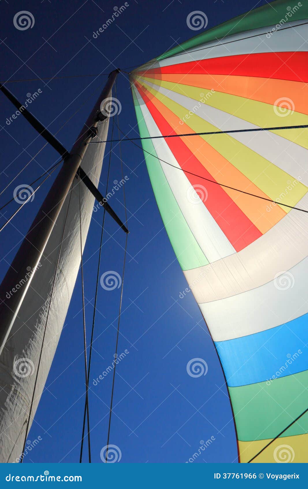The Wind Has Filled Colorful Spinnaker Sail Stock Photo - Image of ...